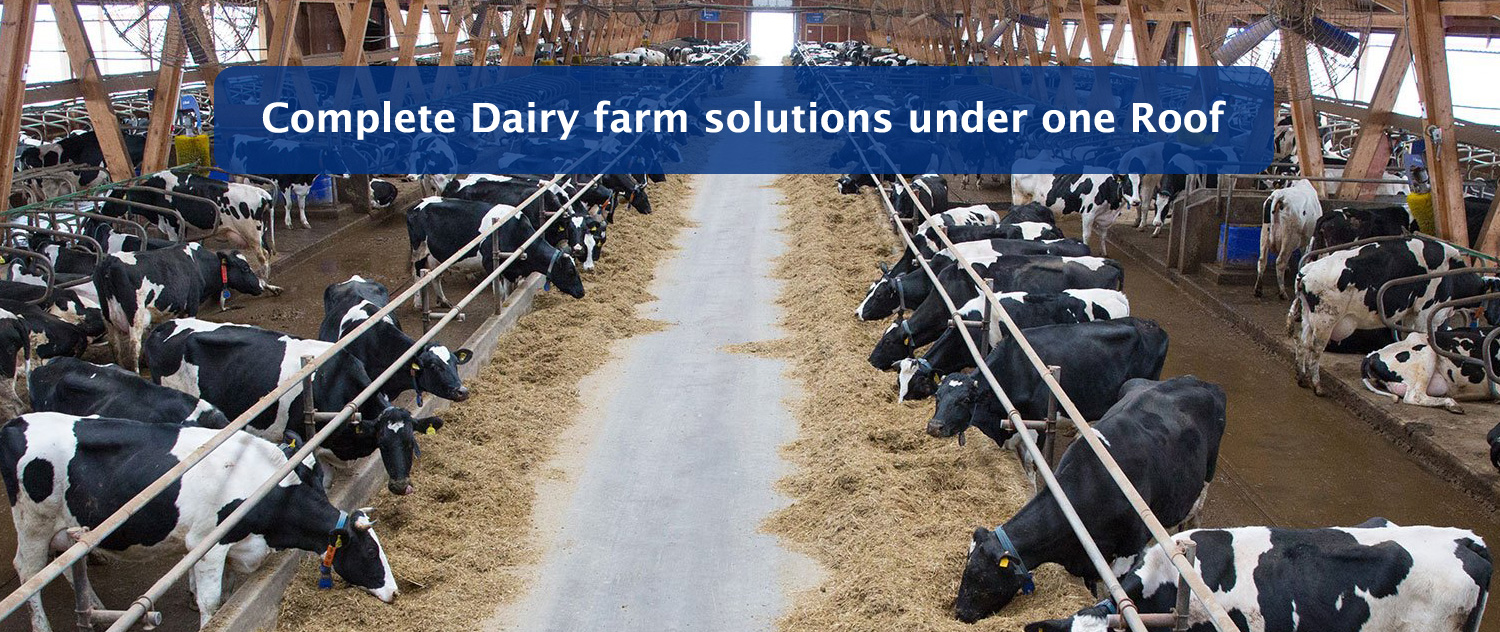 MAPLEE DAIRY SOLUTIONS